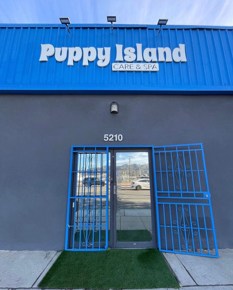 The Ultimate Puppy Spa Experience at Puppy Island Care & Spa